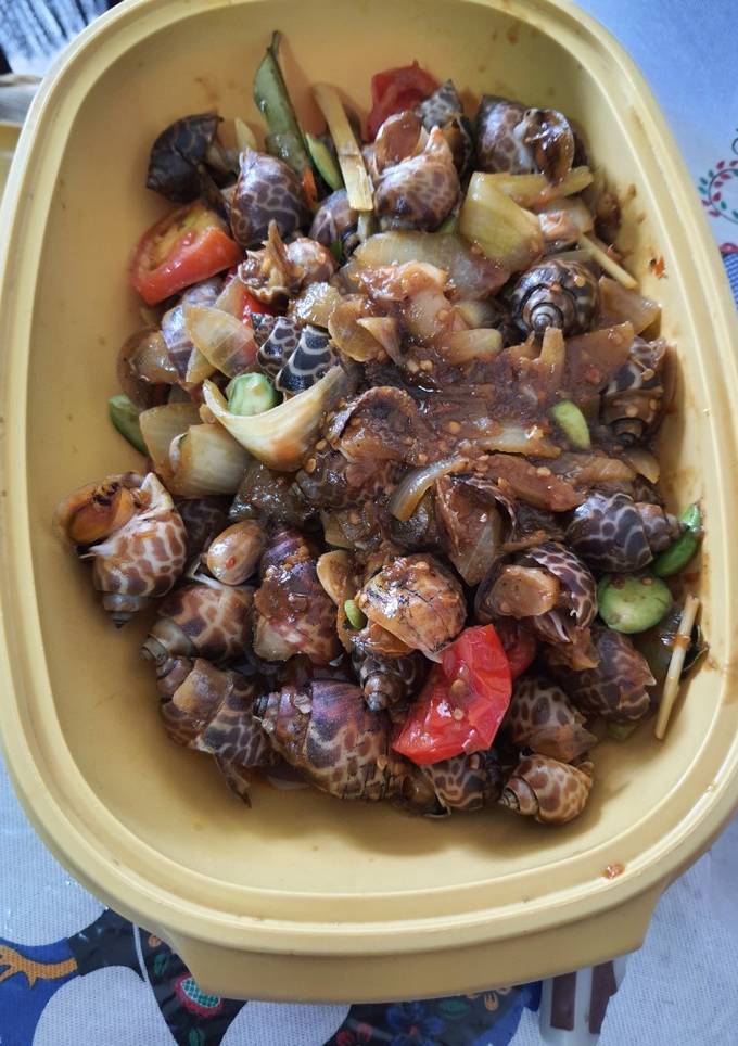 Resep Kerang macan masak Saos padang oleh angelika natasia - Cookpad