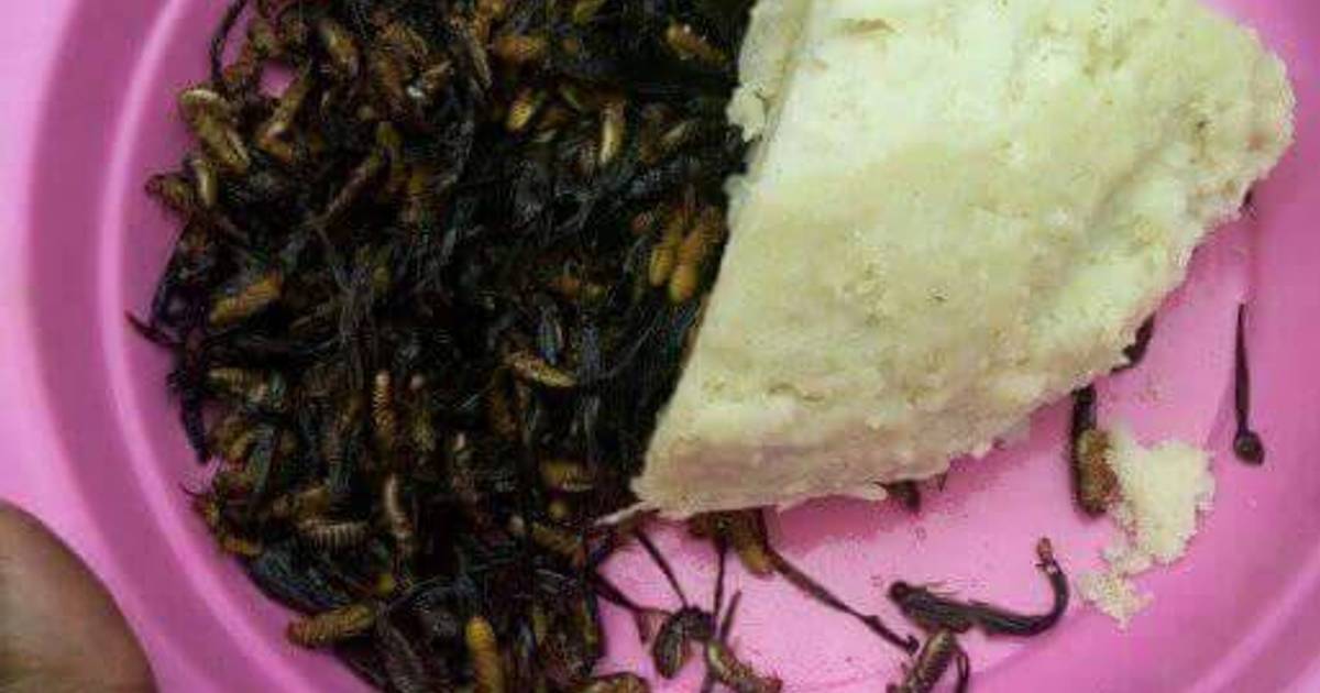 Termites recipes - 11 recipes - Cookpad