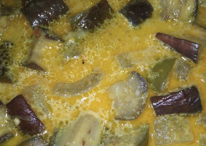 Resep Lodeh Terong Cecek Sapi simple 😍 oleh Anita D. Kartika Rini - Cookpad