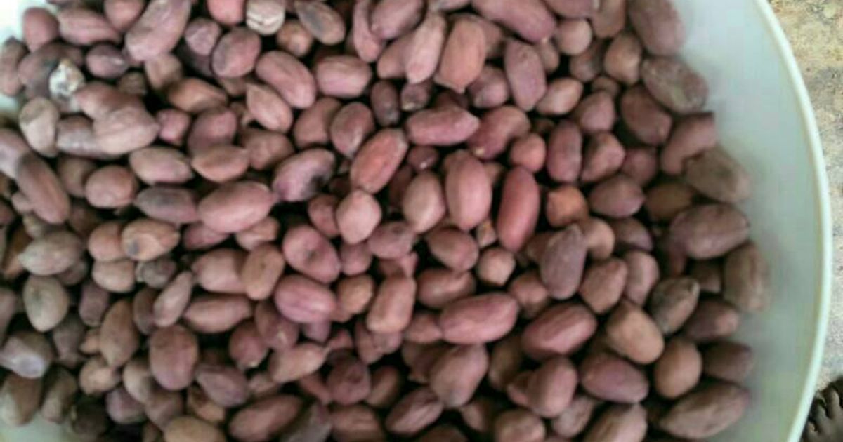 Boiled Groundnuts Recipe by Winnie Aducxer - Cookpad