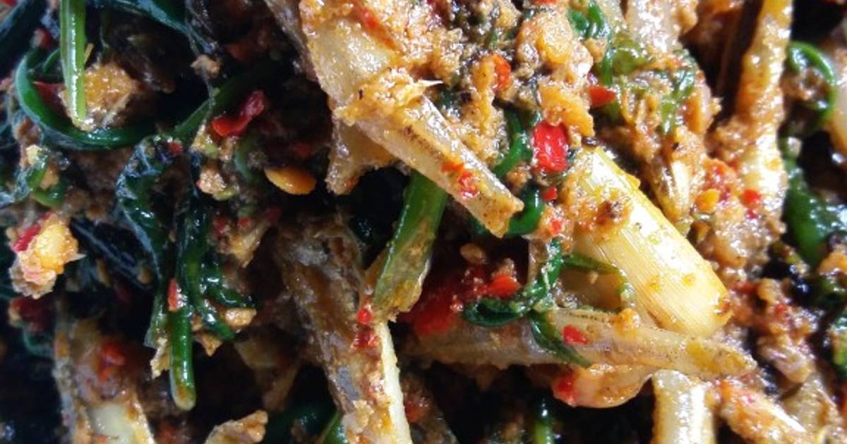 Resep Rendang pakis teri oleh Rafika Apriany Siregar - Cookpad