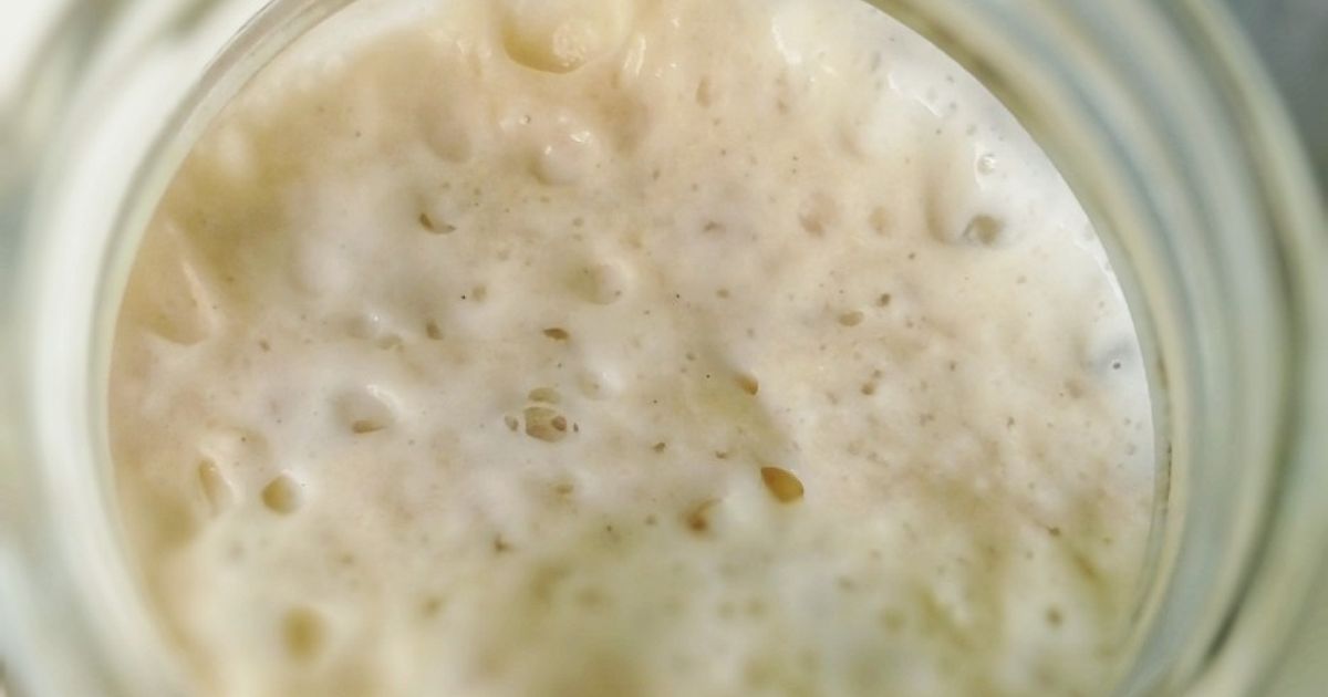 Resep Sourdough Starter / Ragi Alami / Natural Yeast oleh Nayirotul ...