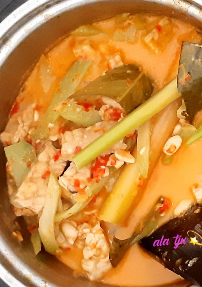 Resep 22.Lodeh tempe & labu siam oleh Tju corner - Cookpad