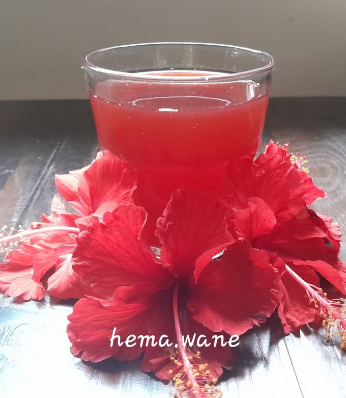 Hibiscus Flower Tea Recipe