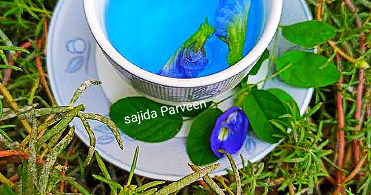 Blue Tea | Blue Butterfly Pea Flower Herbal Tea Recipe by Sajida ...