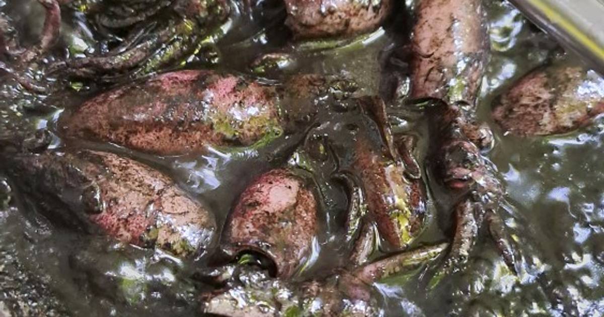 5.272 resep cumi item enak dan mudah - Cookpad