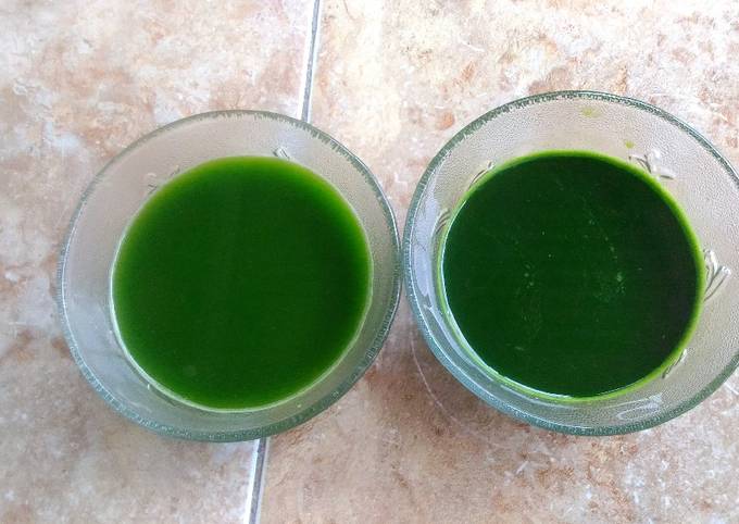 Resep Ekstrak Daun Suji dan Daun Pandan oleh Fanny Astari - Cookpad