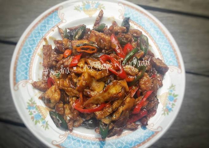 Resep Orek Tempe + Telur Dadar oleh V_dha - Cookpad
