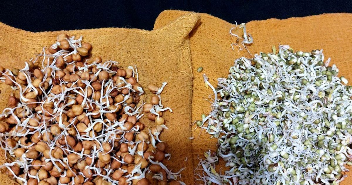 अंकुरित अनाज (Ankurit Anaj Recipe In Hindi) रेसिपी बनाने की विधि in ...