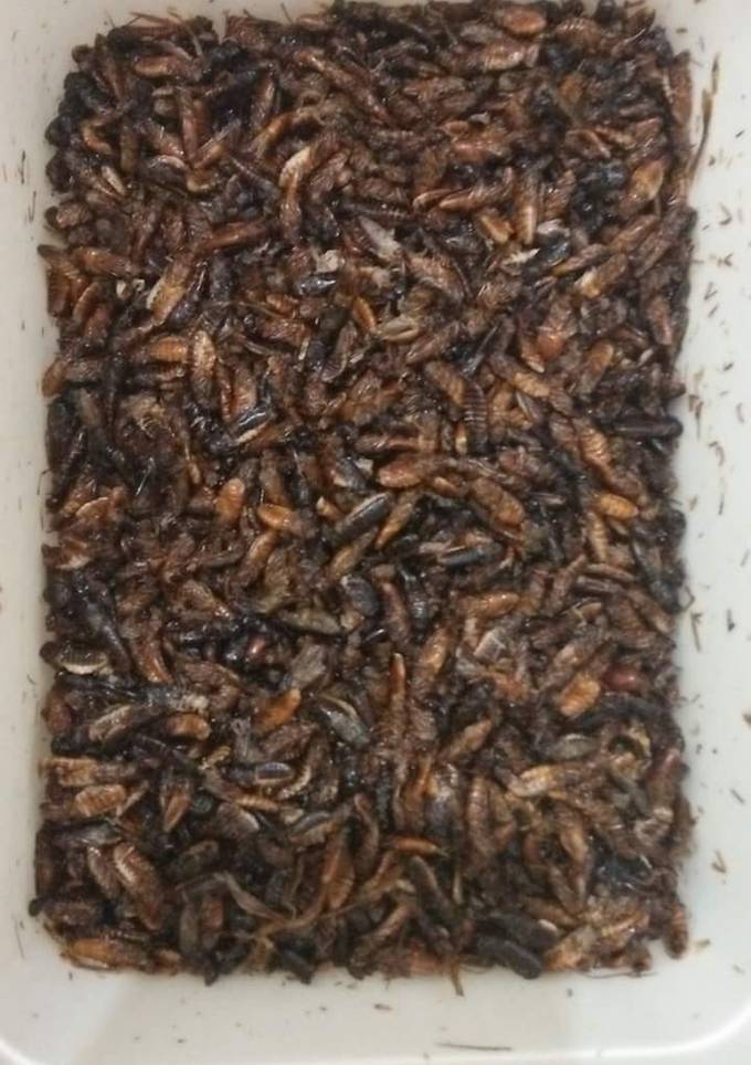Roasted termites Recipe by Caroline Atieno - Cookpad