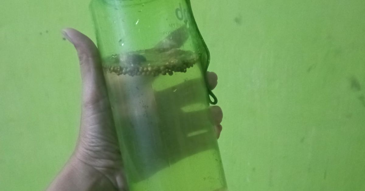 Resep Infus Water : Rempah oleh Kak Zee - Cookpad