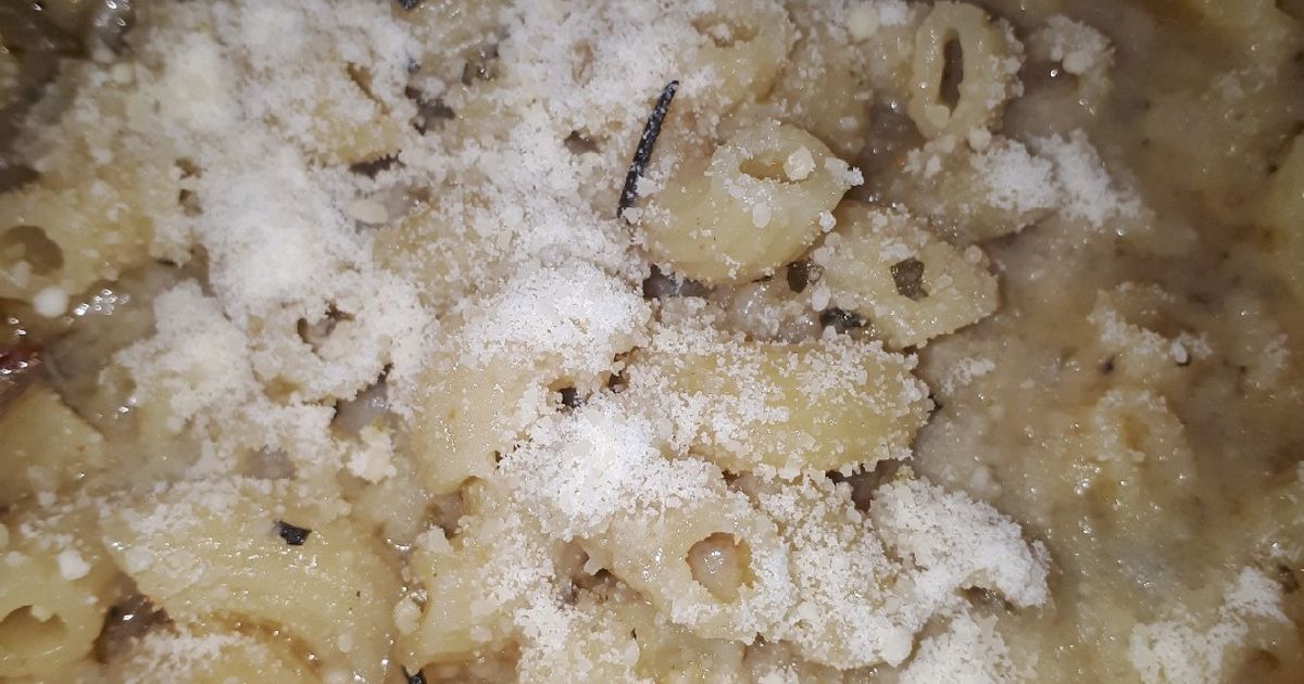 pasta de codito con salsa de tomate - 18 recetas caseras- Cookpad