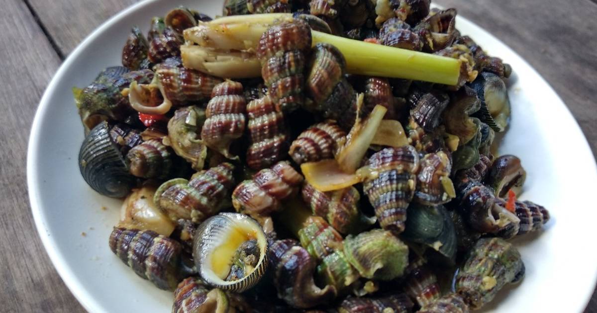 Resep Siput laut balelo with the real taste oleh lia silvana - Cookpad