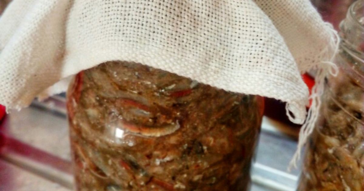 Resep Budu Homemade / Rusip (Fermented Anchovy Sauce) oleh Noof's ...