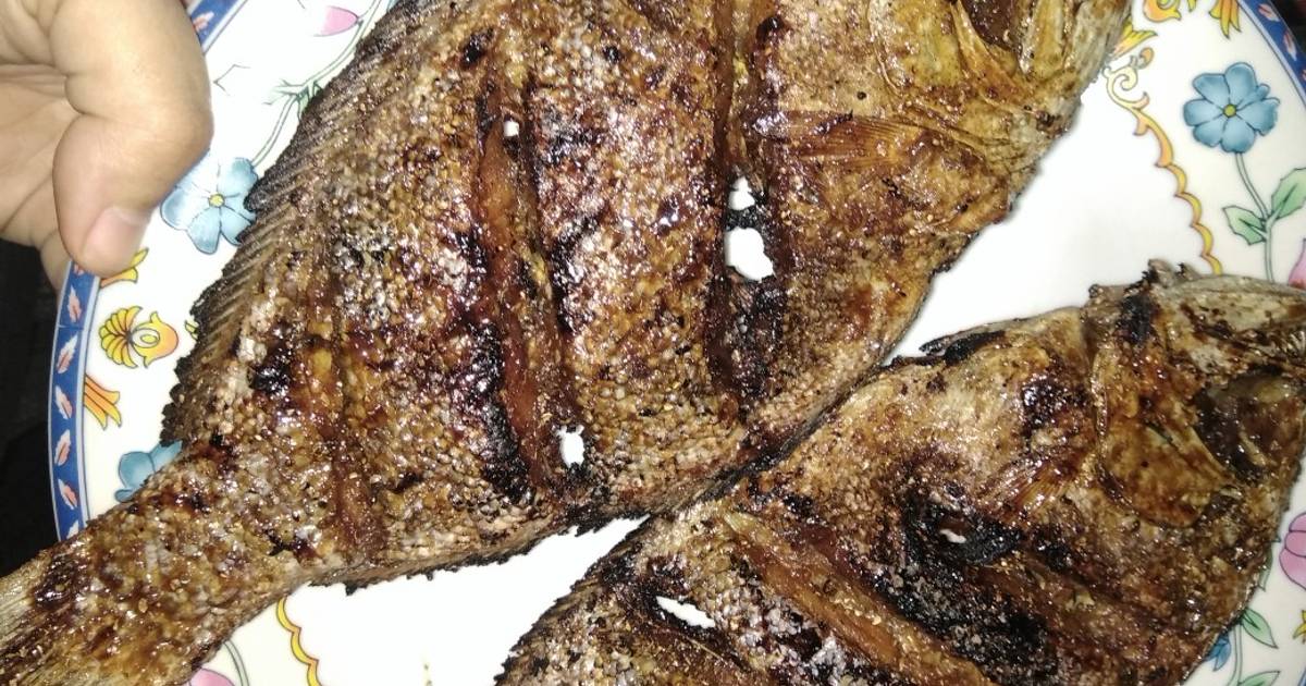 82 resep ikan pihi enak dan mudah - Cookpad