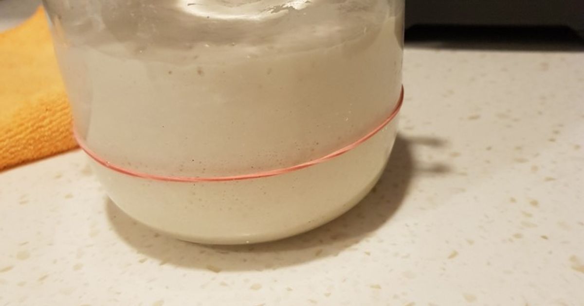 Resep Sourdough Starter (Ragi Alami)asam Rasanya Eropa Punya Bunda2 ...