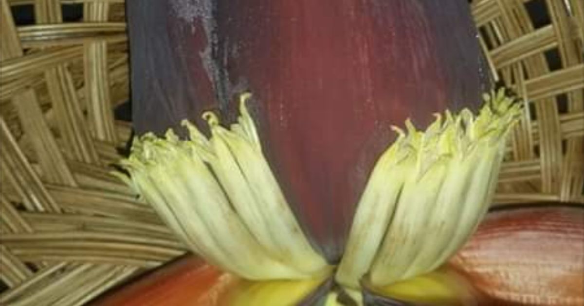 How To Prepare Banana Blossom/Flower Recipe by Athena Wakecu - Cookpad