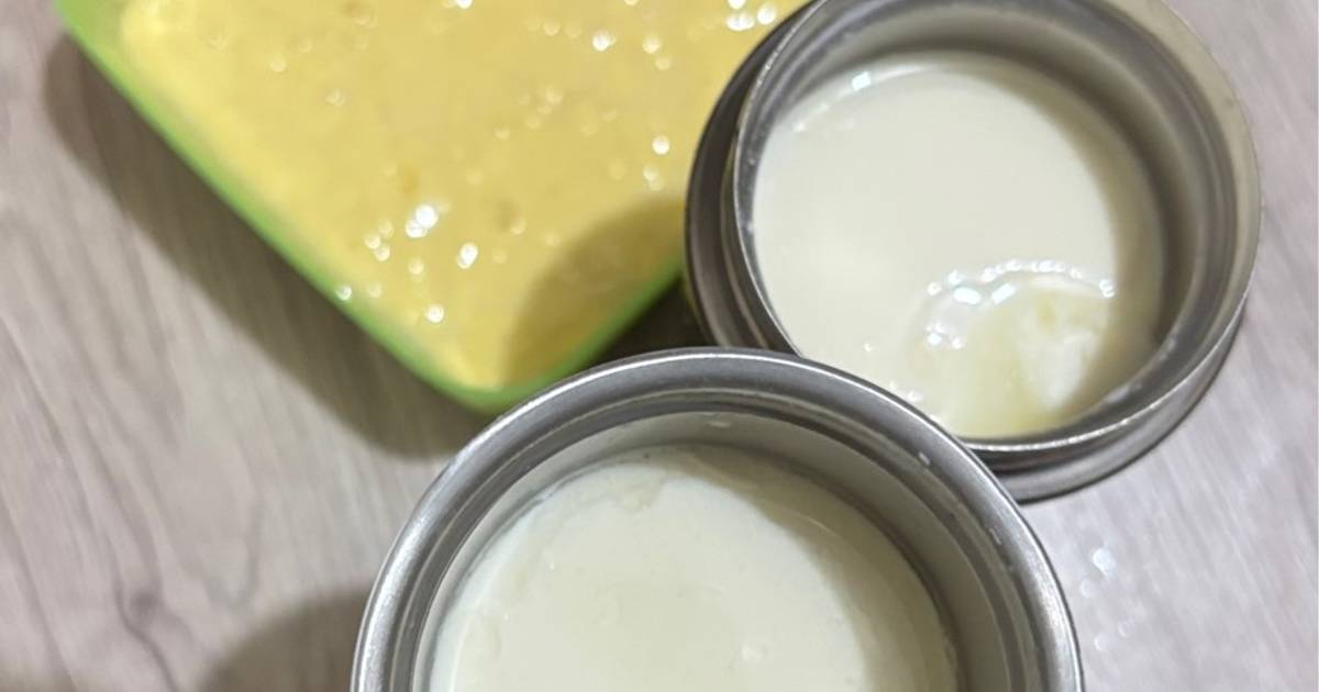 Resep Yogurt Homemade oleh desika - Cookpad