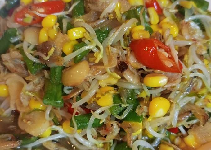 Resep Tumis Sayuran Udang Rebon Oleh Fitzaki Kitchen Cookpad