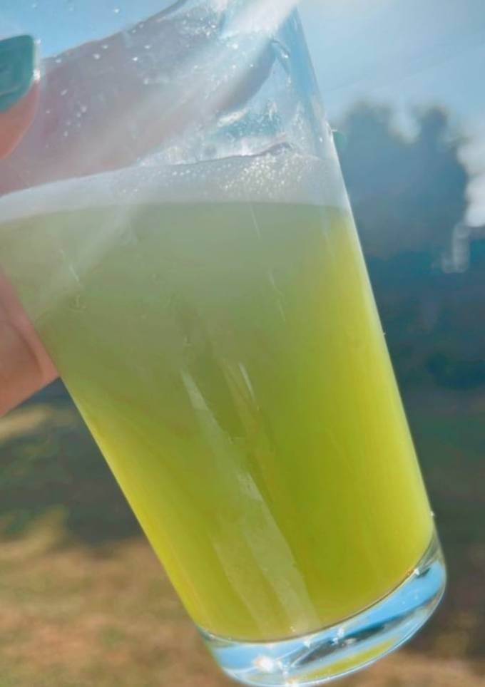 Sumo de Anánas e Limão com Hortelã Receita por Rita Estevens - Cookpad