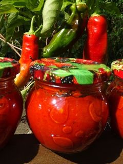 Paprikakrém (Nyers, Sóval Tartósított) | Gazdagné Djinisinka Margit ...