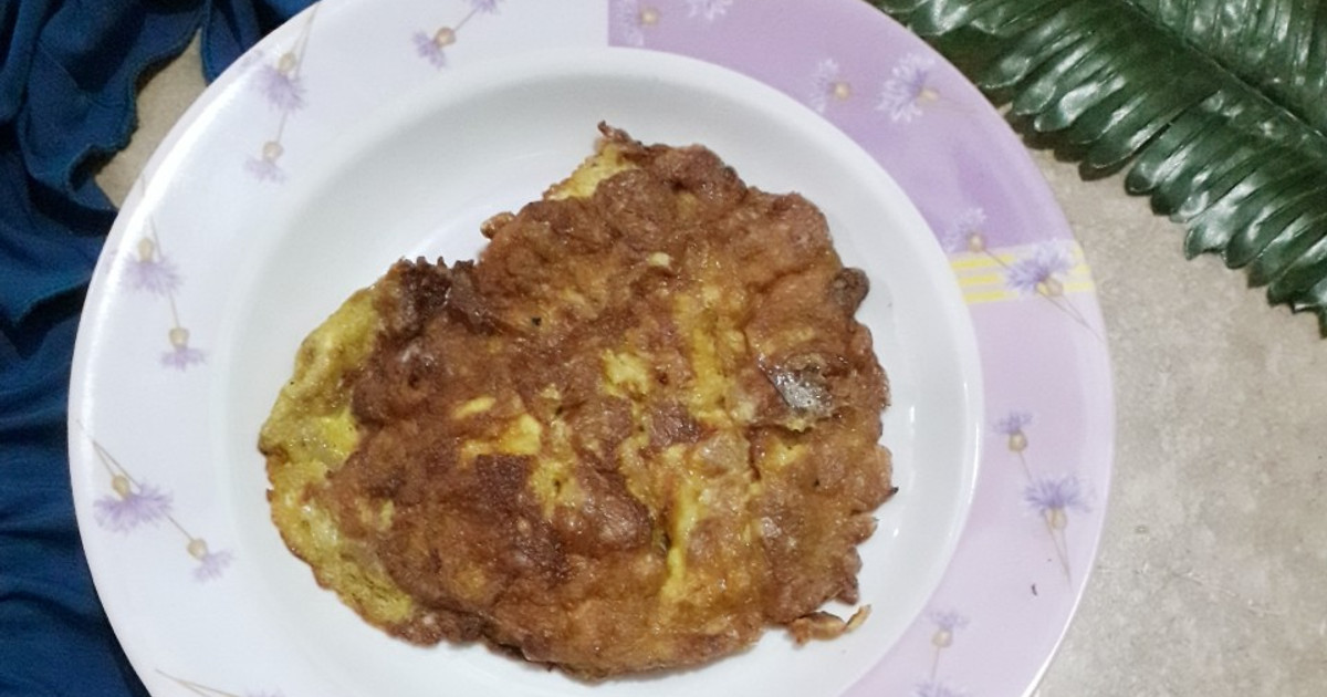 Resep Telur Dadar Daging Giling Dan Oatmeal oleh Ani Brilian - Cookpad