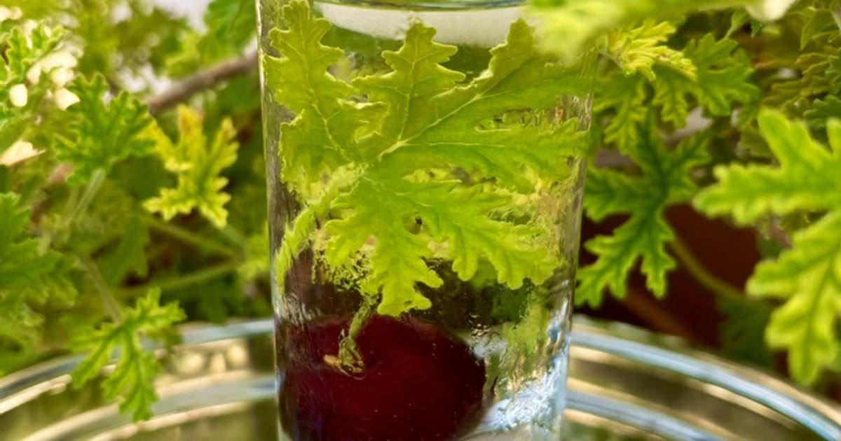 Detox με αρμπαρόριζα και βύσσινα Συνταγή από τον/την Matula Giasirani ...
