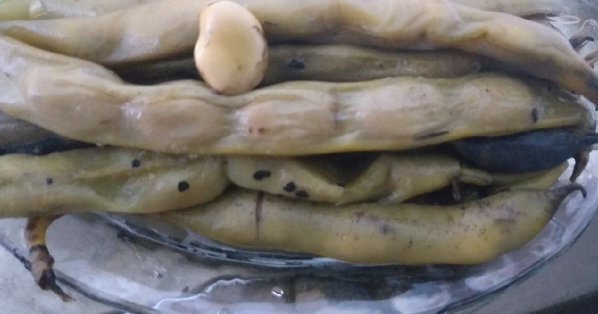 طريقة عمل سلق الباقلاء العراقية من Reem.f.saber - كوكباد