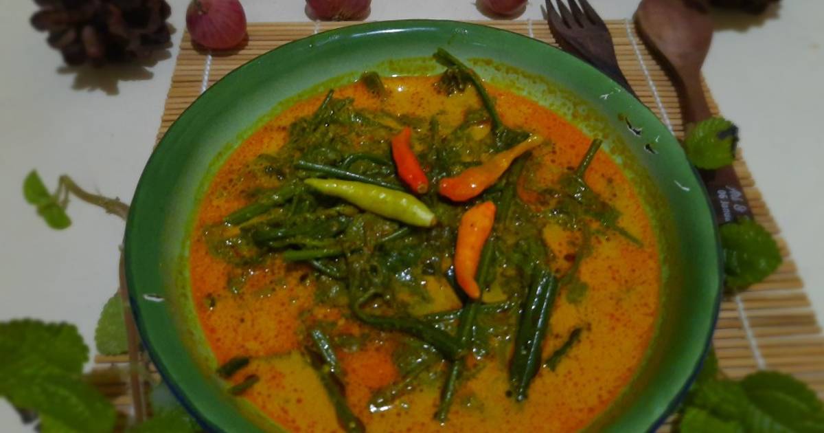 Resep Gulai Pakis oleh Titin Gisa - Cookpad