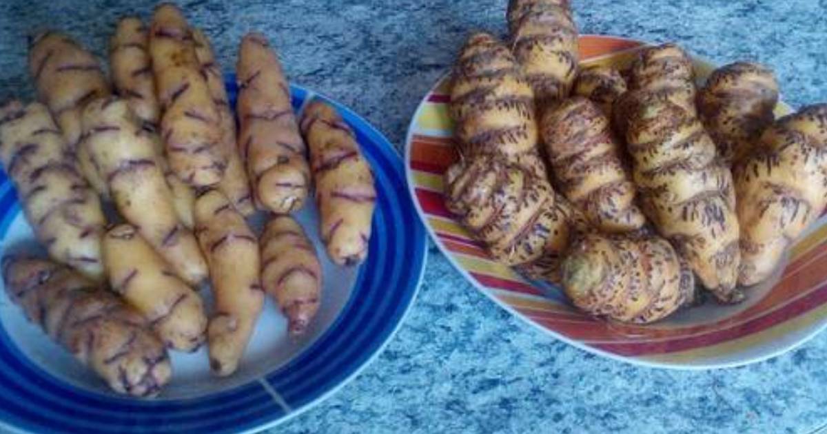 Oca - 62 recetas caseras- Cookpad