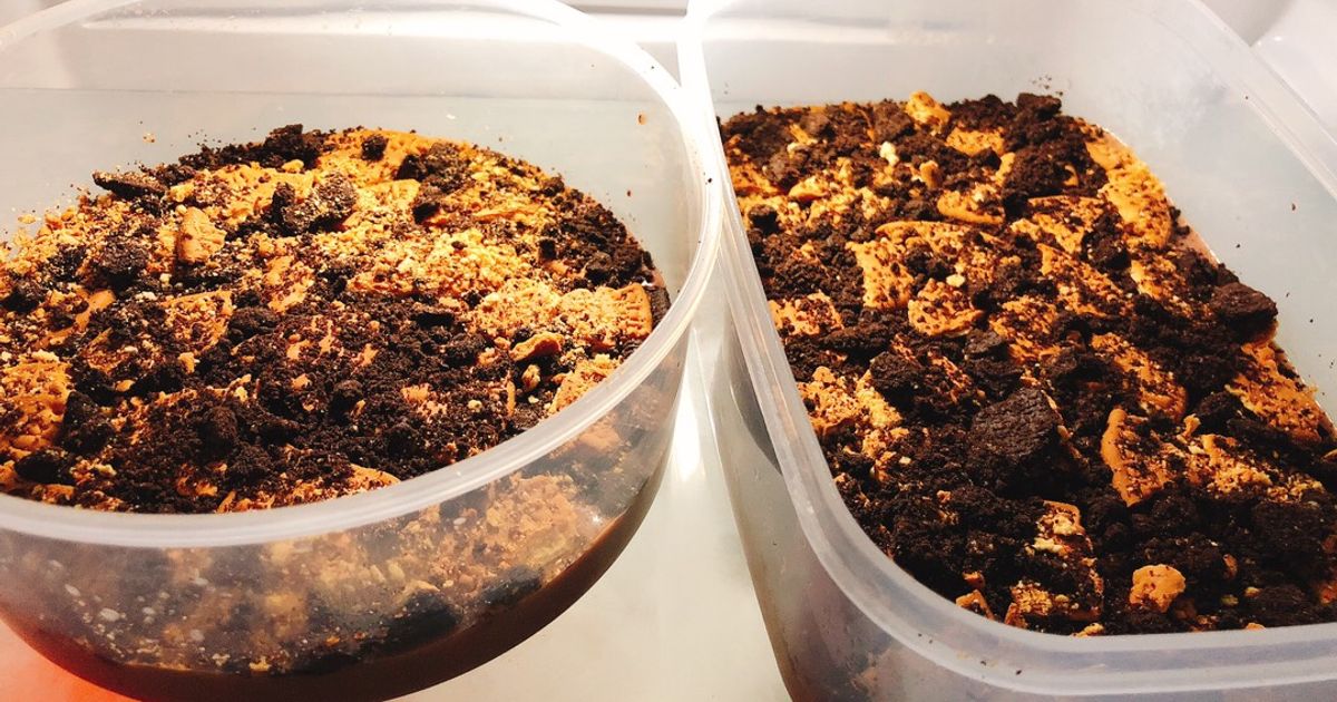 Resep Silky Pudding Puyo Coklat Toping Oreo Regal oleh Riski Meirika ...