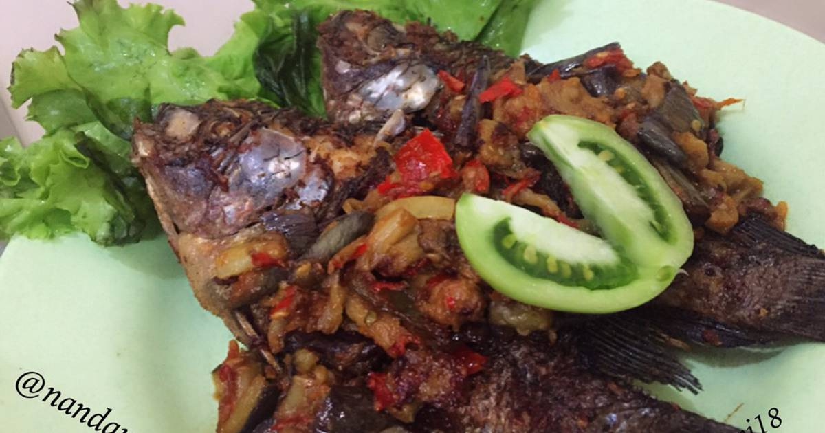 67 resep ikan mujaer terong enak dan mudah - Cookpad