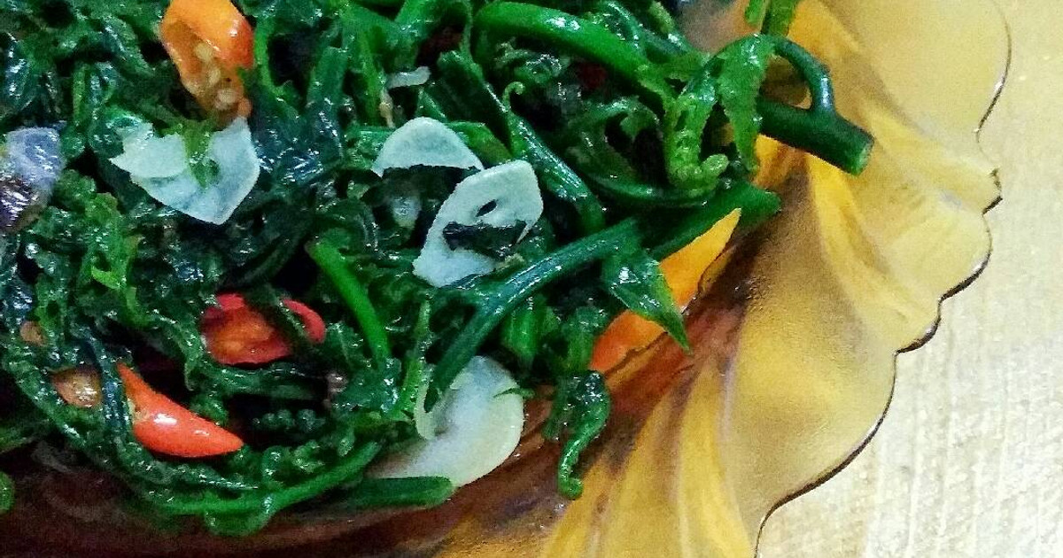 Resep Tumis Paku/ Pakis Saus Tiram oleh Hutami Putri - Cookpad