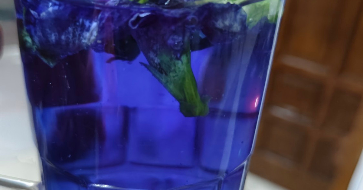 Resep Teh Bunga Telang oleh widiseka - Cookpad