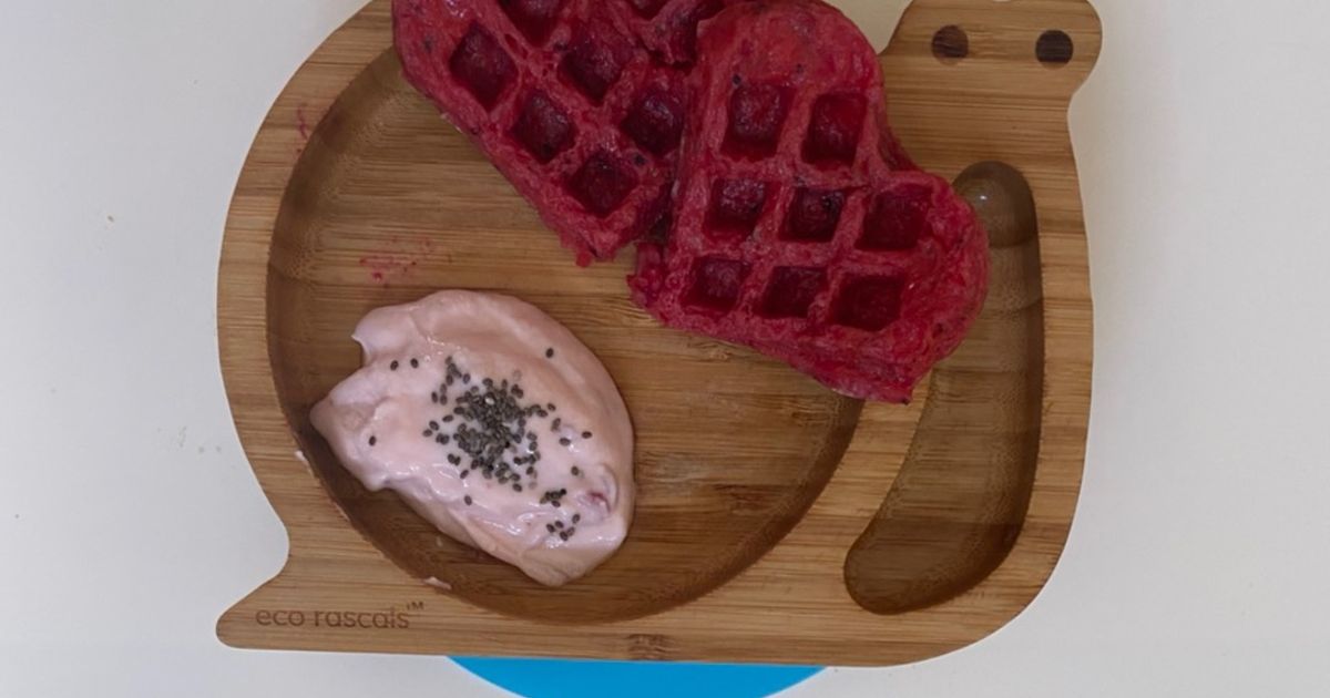 Resep Waffle Buah Naga Mpasi oleh Putri Larasati - Cookpad
