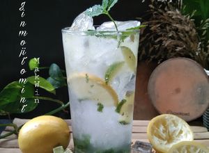 Resep mojito rumahan enak dan mudah - Cookpad