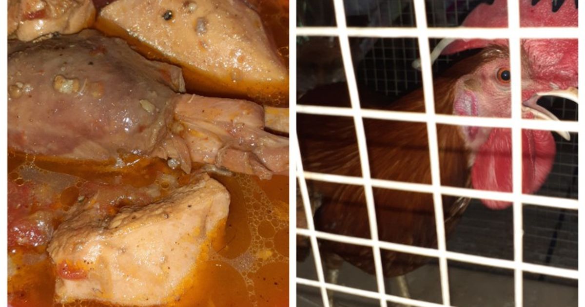 Desi Murgh Salan Recipe by Samiya Faheem