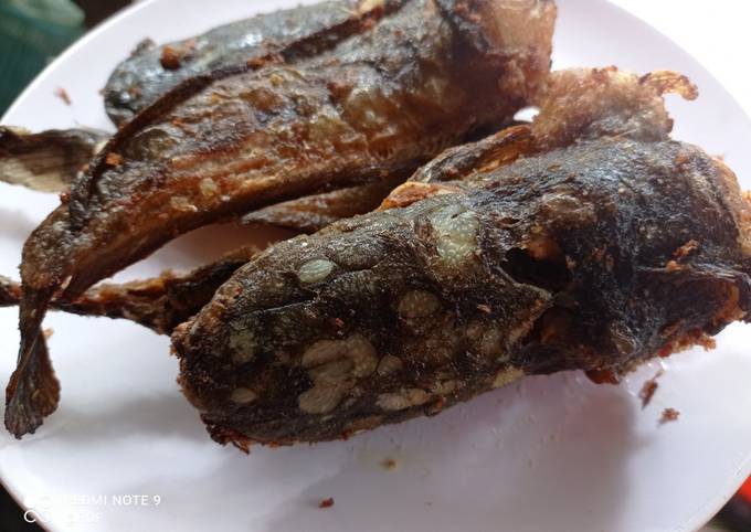Resep Lele goreng (bumbu kuning praktis) oleh Rahmani Dwi Fajarsih ...