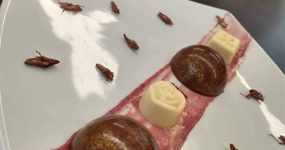 Bombones de chocolate con relleno de chile habanero 🍫 Receta de Iliana ...
