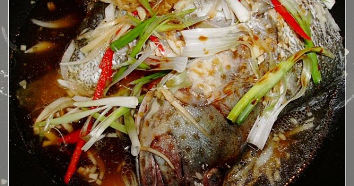 Cách Làm Món Cá bống mú hấp kiểu Hongkong của My Phung - Cookpad