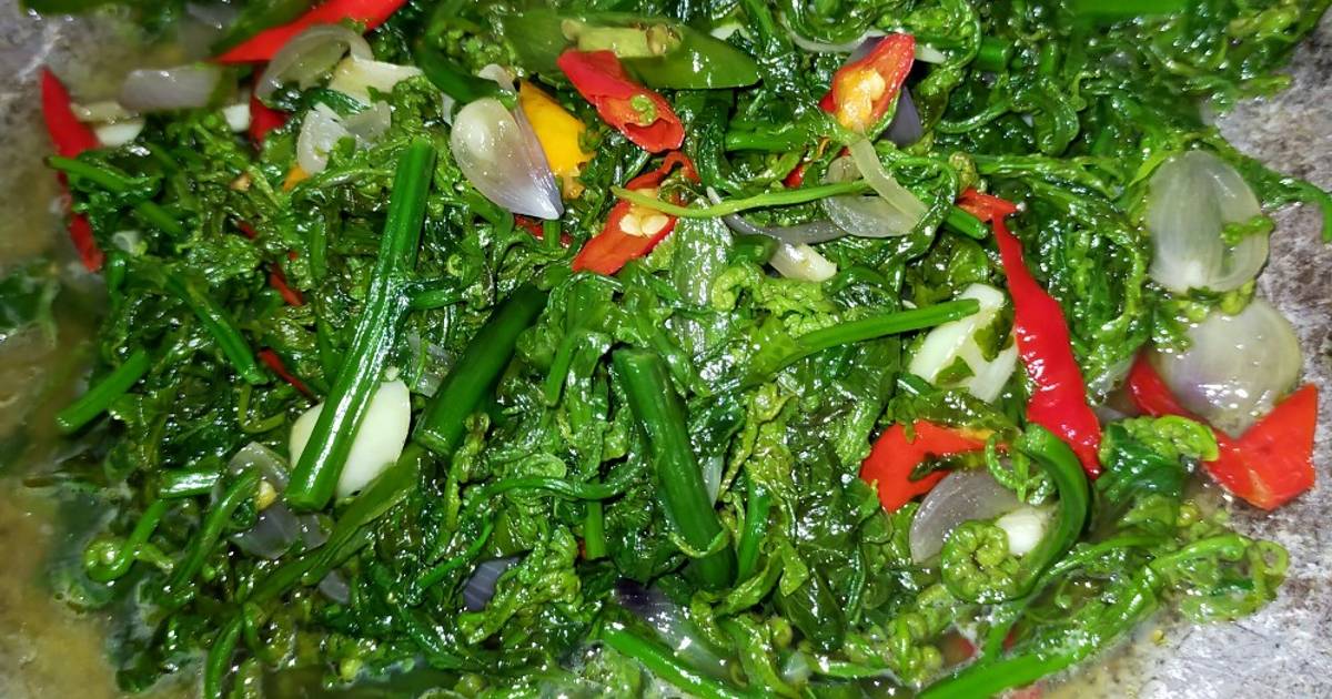 48 resep tumis sayur pakis biasa enak dan mudah - Cookpad