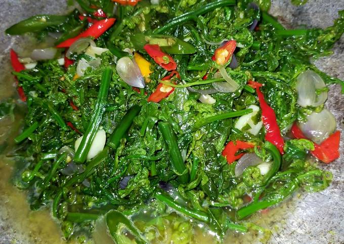 Resep Oseng Sayur Pakis Sederhana oleh Vina Ervina - Cookpad