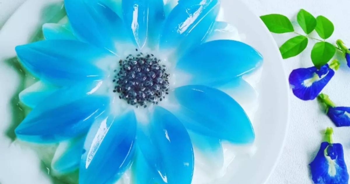 Resep Puding Bunga Telang Santan oleh Dapur Deis - Cookpad