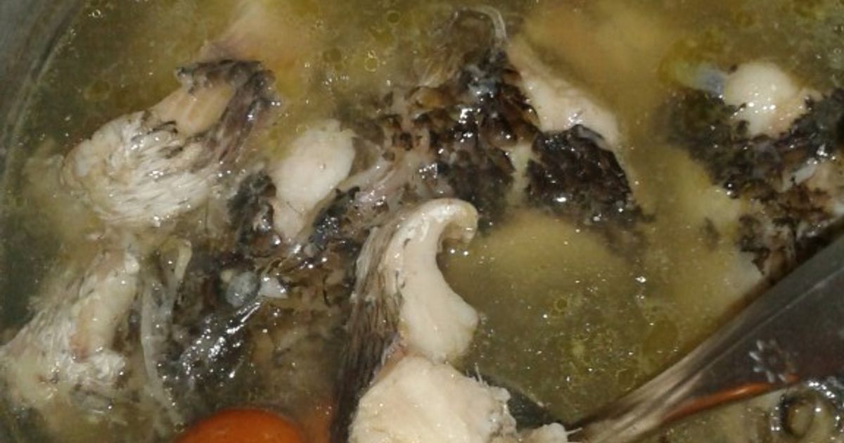 Resep Sop Bening Ikan Gabus Simple oleh ayiek - Cookpad