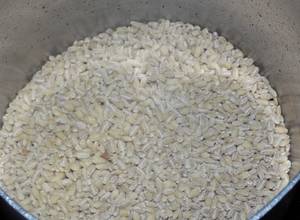 Cebada en tu cocina: recetas irresistibles y saludables