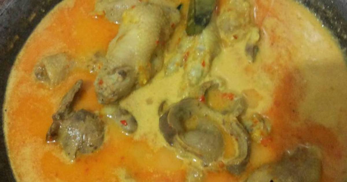 87 resep jeroan ayam kuah pedas enak dan mudah - Cookpad