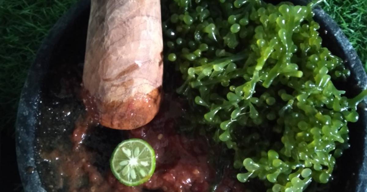 48 resep anggur laut enak dan mudah - Cookpad