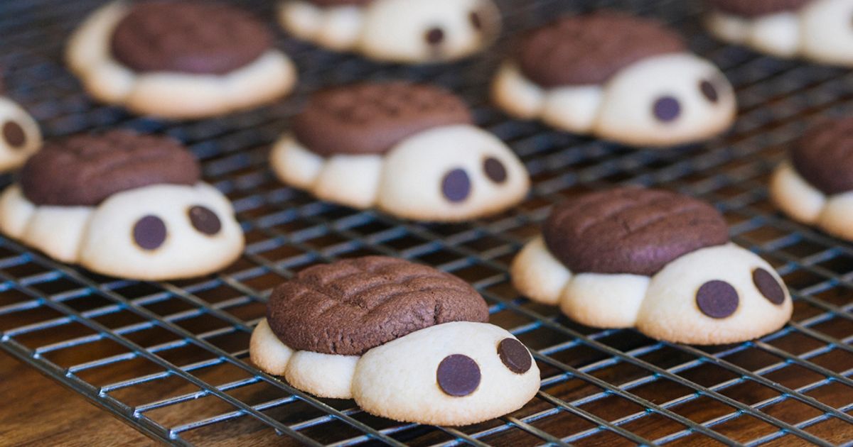 Galletas Tortuga De Chocolate Y Vainilla Receta de Espiaenlacocina