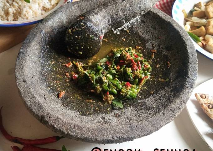 Resep Pencok Leunca oleh Nungky Wijaya - Cookpad