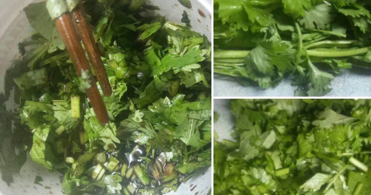 Cilantro Con Salsa De Soya Receta de Rebeca Gonzalez- Cookpad